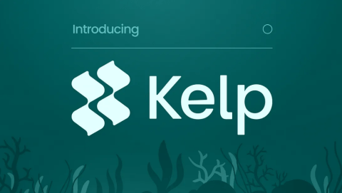 A Comprehensive Guide to KELP DAO: Unlocking the Future of DeFi ...