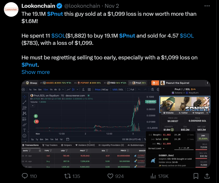 The Rise of Pnut: A Guide to the Viral Meme Coin - Airdrop Alert
